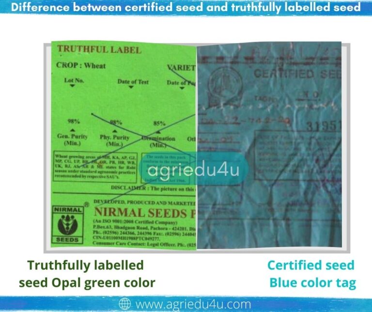 Difference between certified seed and truthfully labelled seed | Agriedu4u