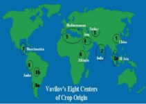 Vavilov centre of origin of crops 1926 new | Agriedu4u