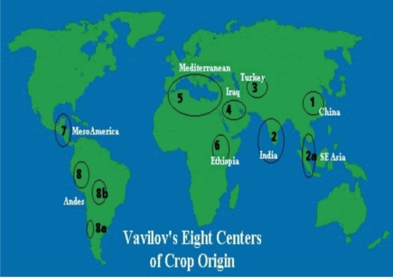 Vavilov centre of origin of crops 1926 new | Agriedu4u