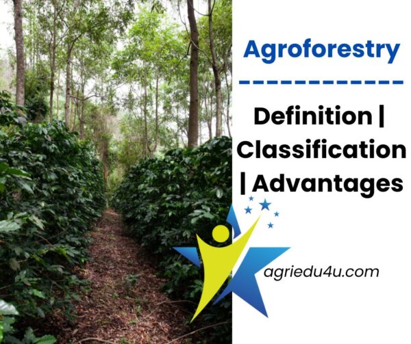 Agroforestry and various systems of agroforestry definition ...