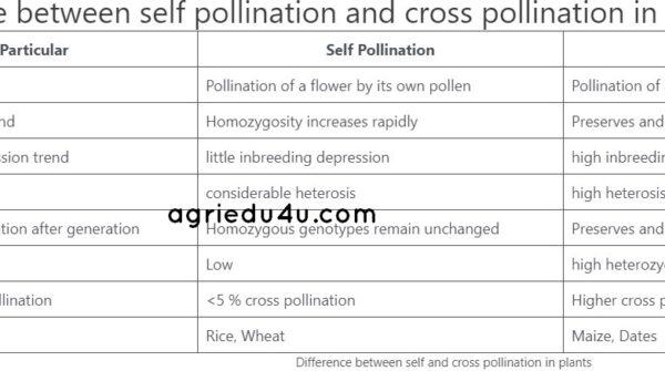 Difference between self pollination and cross pollination in plants ...