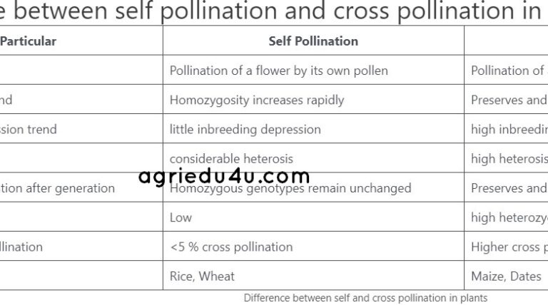 Difference between self pollination and cross pollination in plants ...