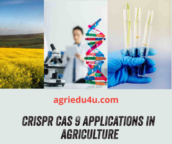 CRISPR cas in agriculture and its applications in genome editing of ...